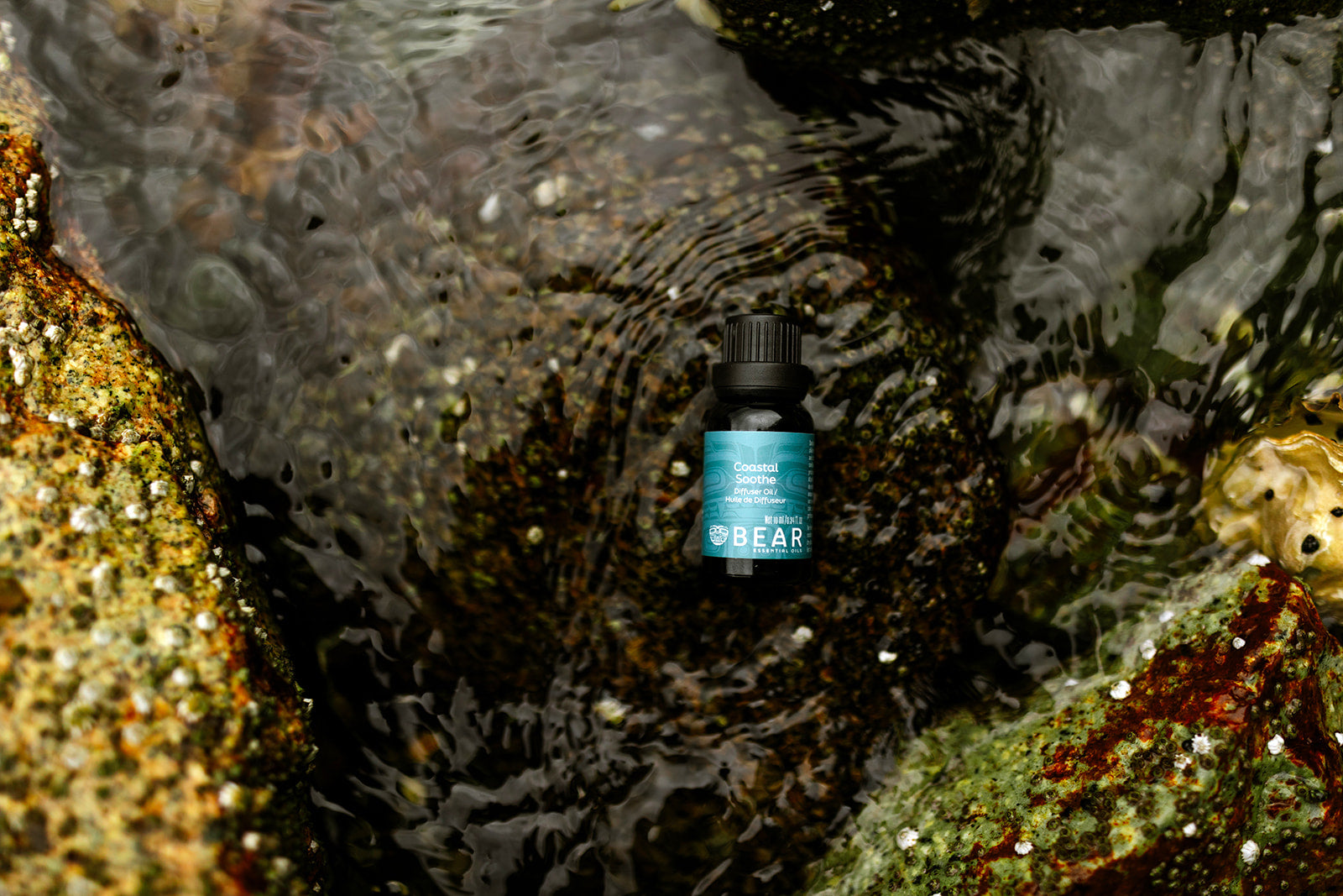 Pacific Northwest Collection – Bear Essential Oils
